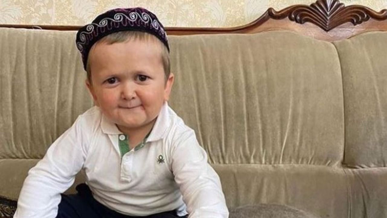 Hasbula je internet senzacija iza koje se krije tužna priča! - IDJ TV